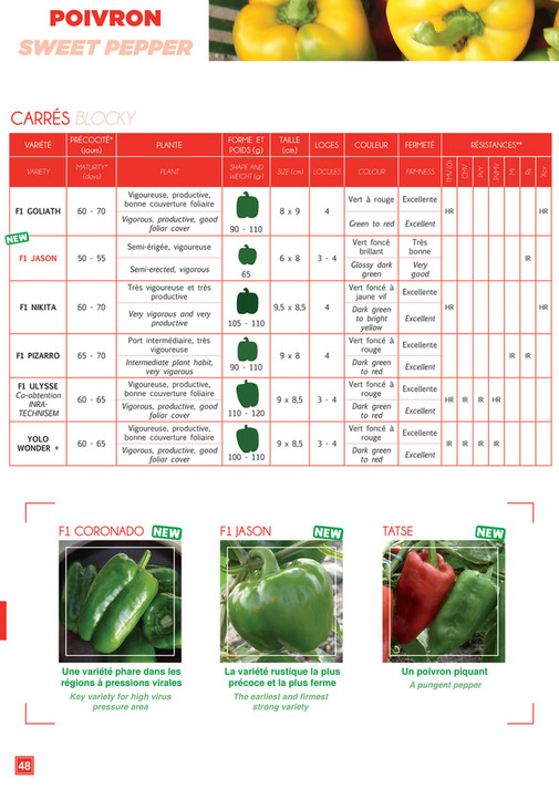 Agrinova - Technisem Seed Catalog - Page 48-49 - Created with Publitas.com