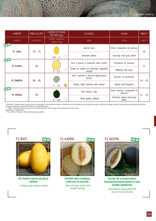 Agrinova - Technisem Seed Catalog - Page 32-33 - Created with Publitas.com