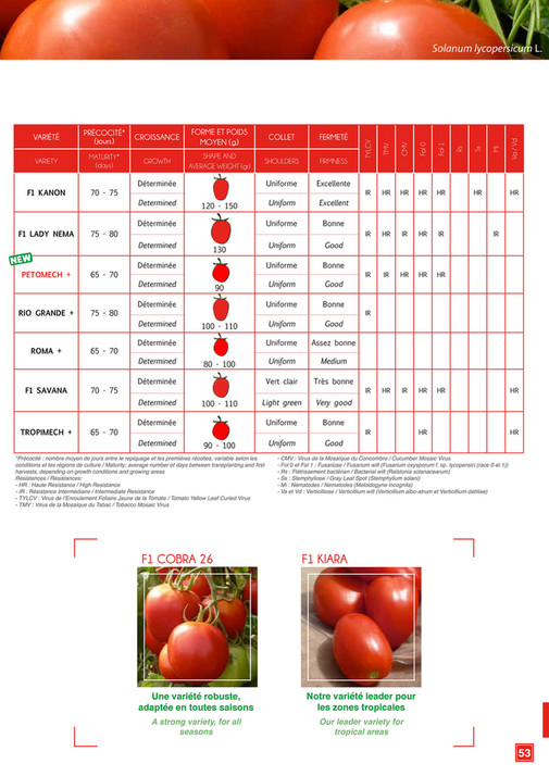 Agrinova - Technisem Seed Catalog - Page 52-53 - Created with Publitas.com