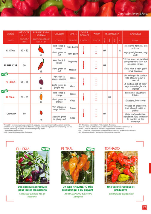 Agrinova - Technisem Seed Catalog - Page 46-47 - Created with Publitas.com