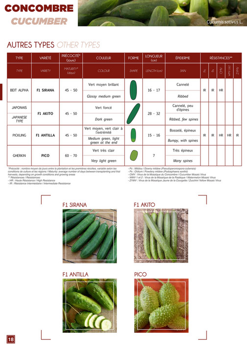 Agrinova - Technisem Seed Catalog - Page 18-19 - Created with Publitas.com