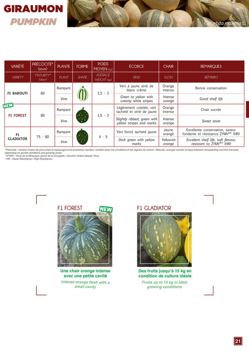 Agrinova - Technisem Seed Catalog - Page 20-21 - Created with Publitas.com