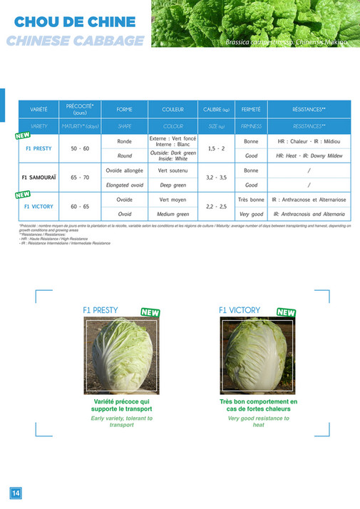 Agrinova - Technisem Seed Catalog - Page 14-15 - Created with Publitas.com