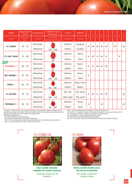 Agrinova - Technisem Seed Catalog - Page 52-53 - Created with Publitas.com
