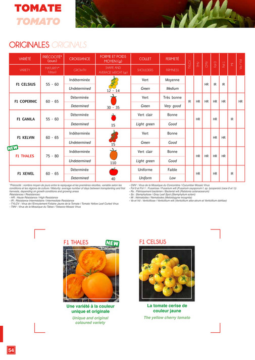 Agrinova - Technisem Seed Catalog - Page 54-55 - Created with Publitas.com