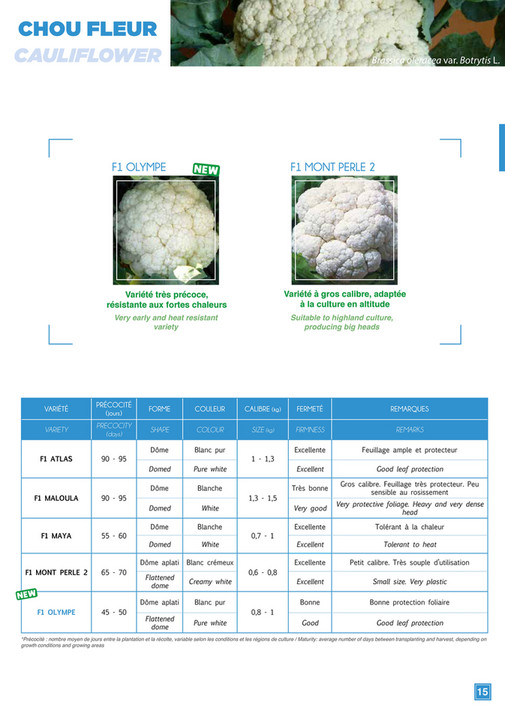 Agrinova - Technisem Seed Catalog - Page 14-15 - Created with Publitas.com