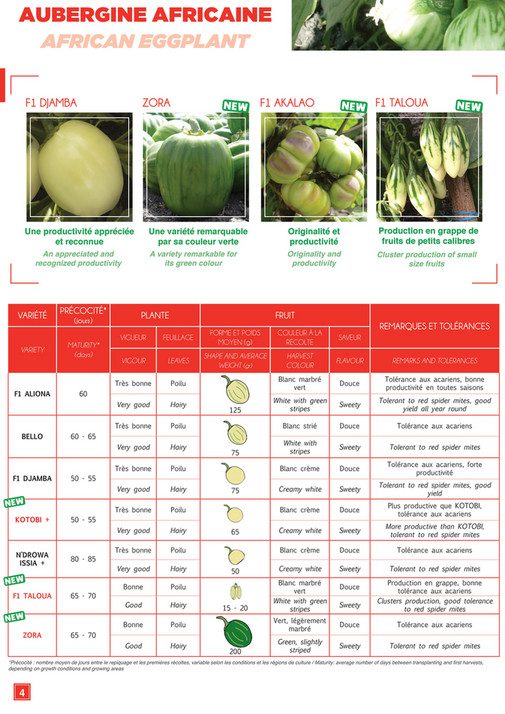 Agrinova - Technisem Seed Catalog - Page 4-5 - Created with Publitas.com