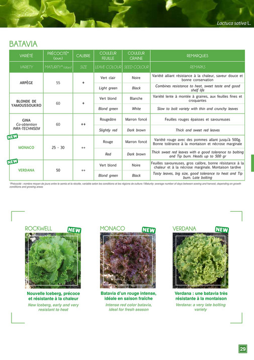 Agrinova - Technisem Seed Catalog - Page 28-29 - Created with Publitas.com