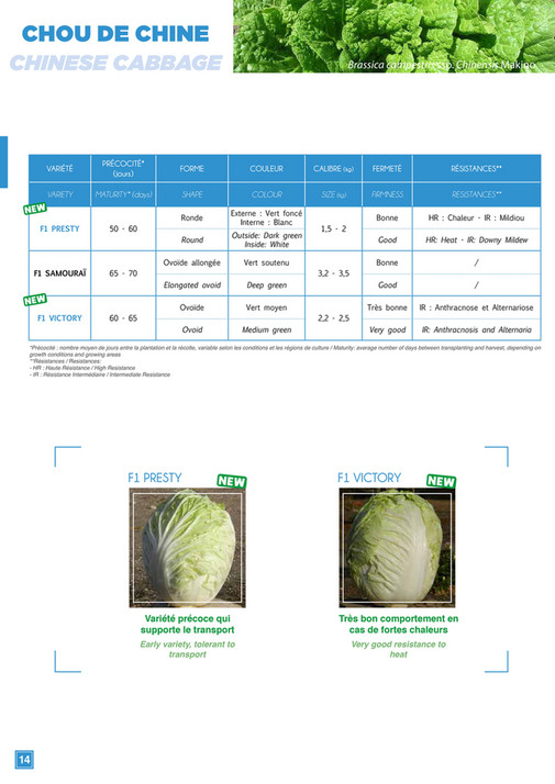 Agrinova - Technisem Seed Catalog - Page 14-15 - Created with Publitas.com