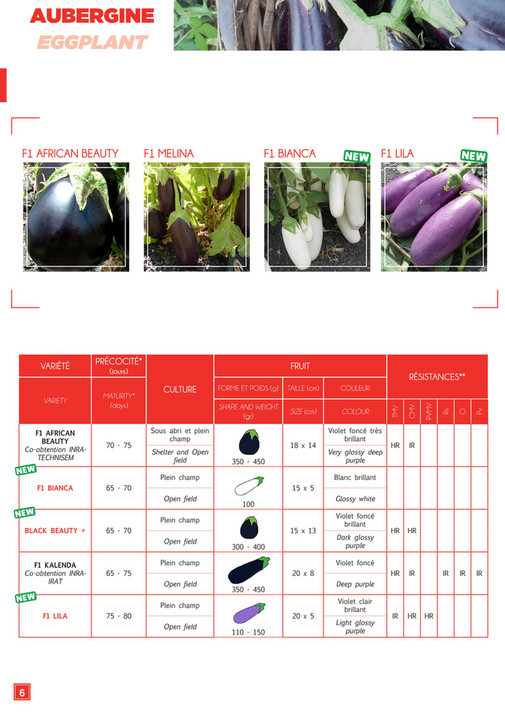 Agrinova - Technisem Seed Catalog - Page 6-7 - Created with Publitas.com