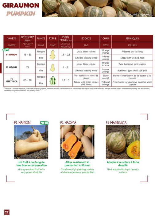 Agrinova - Technisem Seed Catalog - Page 22-23 - Created with Publitas.com