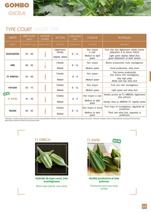 Agrinova - Technisem Seed Catalog - Page 22-23 - Created with Publitas.com