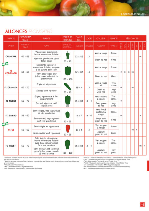 Agrinova - Technisem Seed Catalog - Page 48-49 - Created with Publitas.com