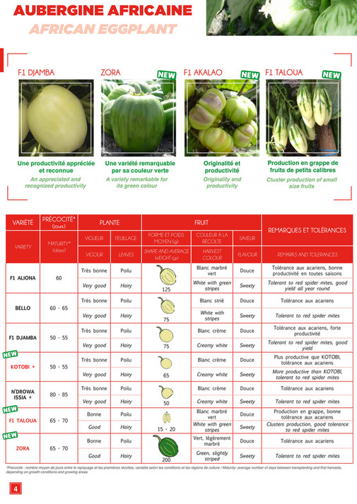 Agrinova - Technisem Seed Catalog - Page 4-5 - Created with Publitas.com