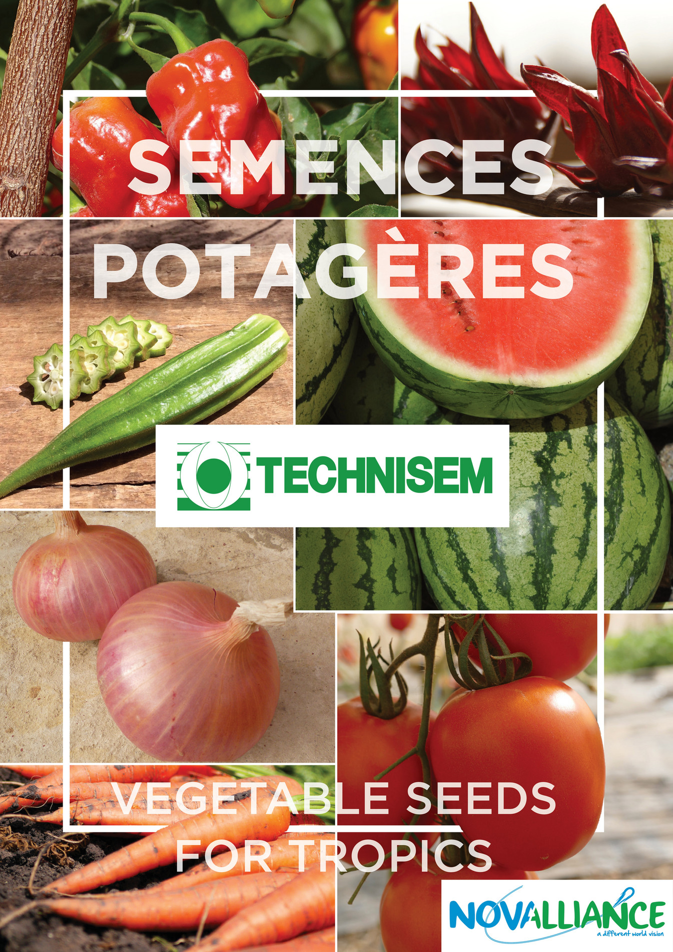 Agrinova - Technisem Seed Catalog - Page 54-55 - Created with Publitas.com