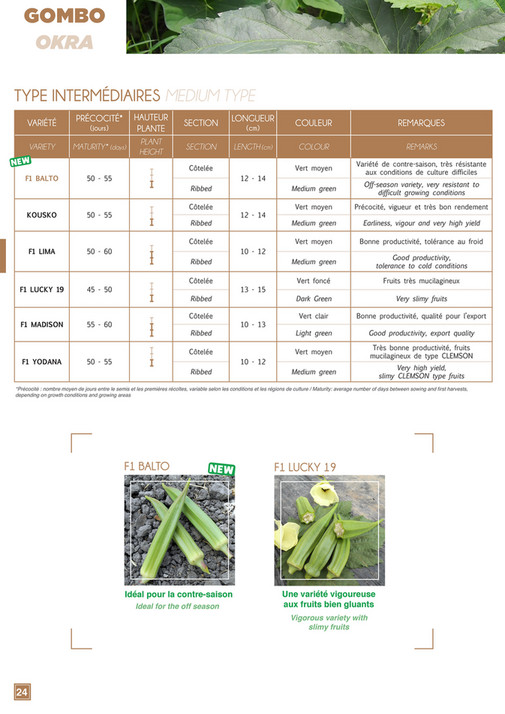 Agrinova - Technisem Seed Catalog - Page 24-25 - Created with Publitas.com