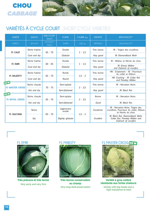 Agrinova - Technisem Seed Catalog - Page 10-11 - Created with Publitas.com