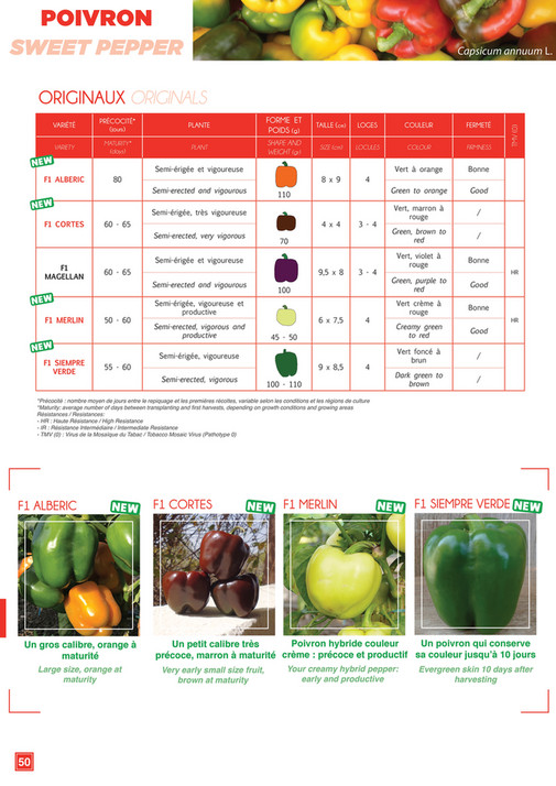Agrinova - Technisem Seed Catalog - Page 50-51 - Created with Publitas.com