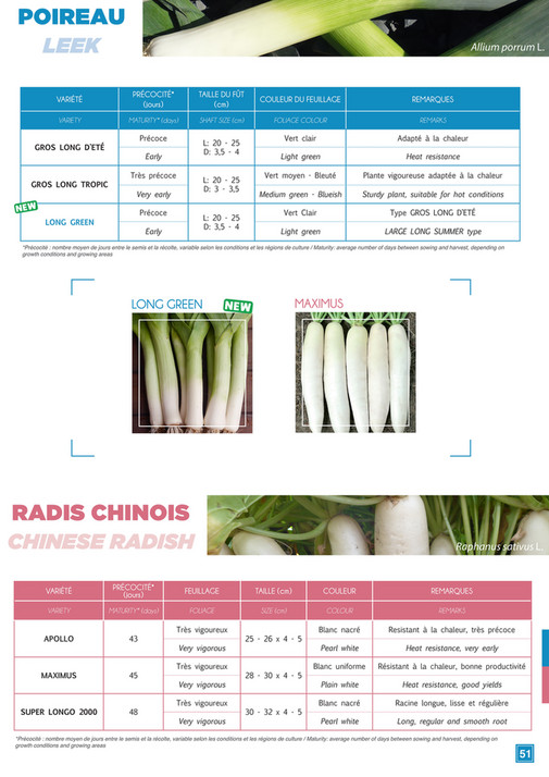 Agrinova - Technisem Seed Catalog - Page 50-51 - Created with Publitas.com