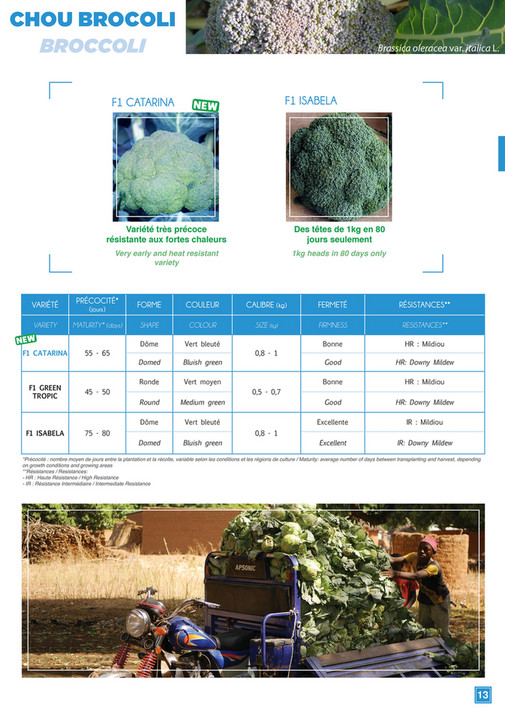 Agrinova - Technisem Seed Catalog - Page 12-13 - Created with Publitas.com