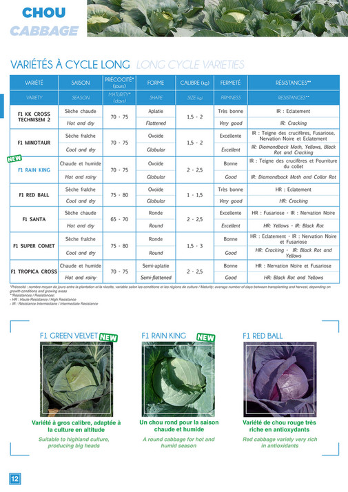Agrinova - Technisem Seed Catalog - Page 12-13 - Created with Publitas.com