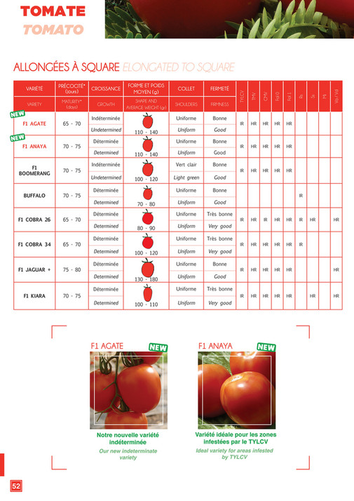 Agrinova - Technisem Seed Catalog - Page 52-53 - Created with Publitas.com