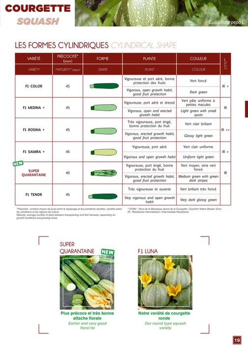 Agrinova - Technisem Seed Catalog - Page 18-19 - Created with Publitas.com