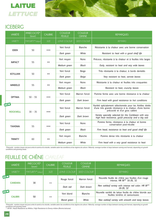 Agrinova - Technisem Seed Catalog - Page 28-29 - Created with Publitas.com
