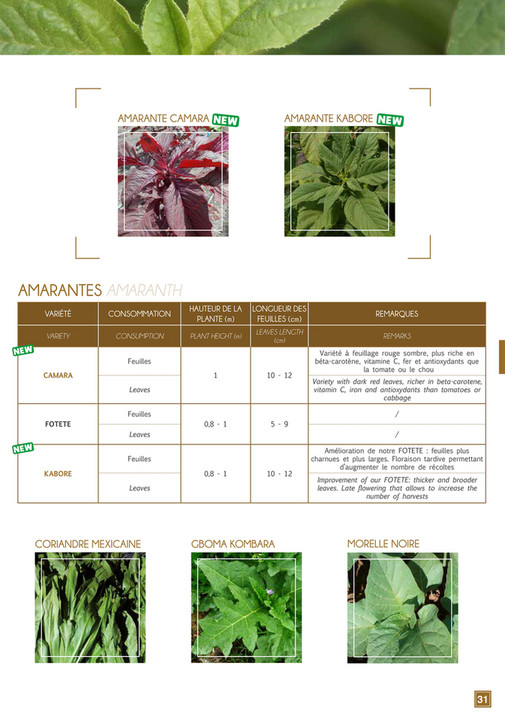 Agrinova - Technisem Seed Catalog - Page 30-31 - Created with Publitas.com