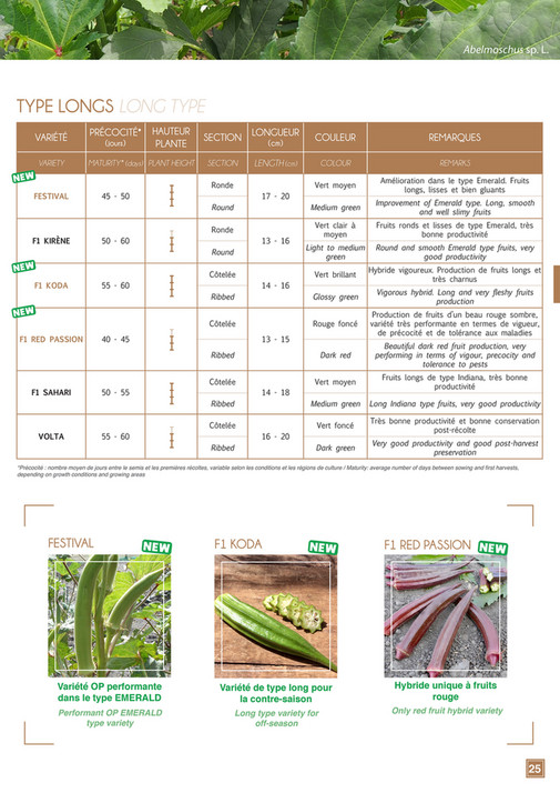 Agrinova - Technisem Seed Catalog - Page 24-25 - Created with Publitas.com