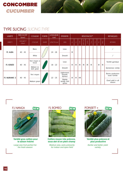 Agrinova - Technisem Seed Catalog - Page 16-17 - Created with Publitas.com