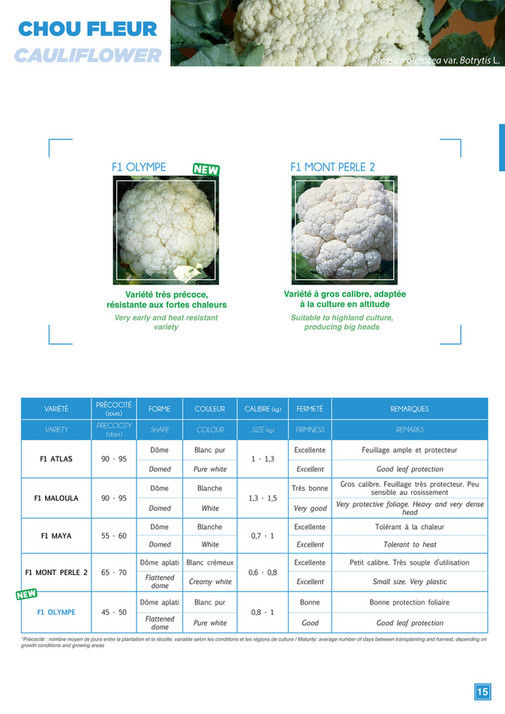 Agrinova - Technisem Seed Catalog - Page 14-15 - Created with Publitas.com