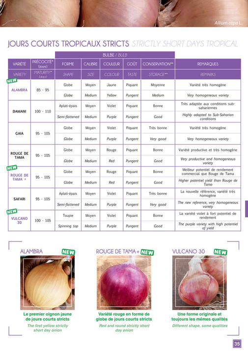 Agrinova - Technisem Seed Catalog - Page 34-35 - Created with Publitas.com