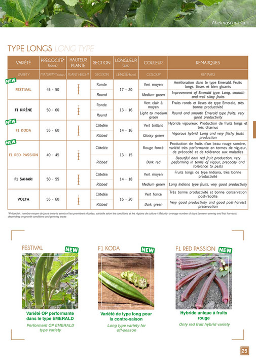 Agrinova - Technisem Seed Catalog - Page 24-25 - Created with Publitas.com