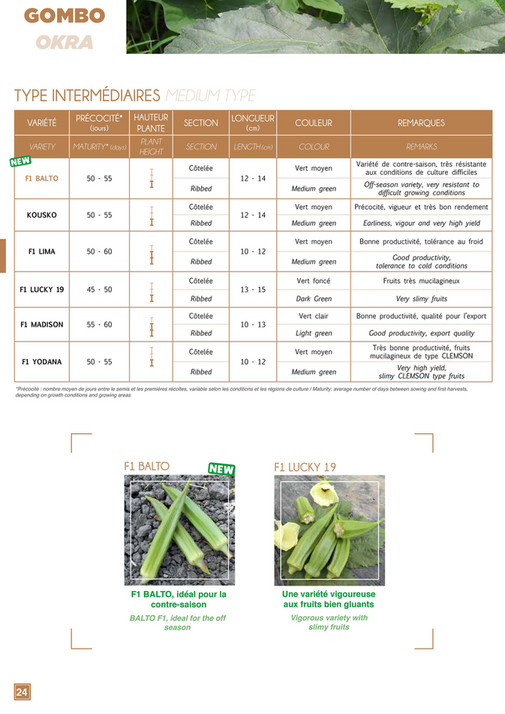 Agrinova - Technisem Seed Catalog - Page 24-25 - Created with Publitas.com