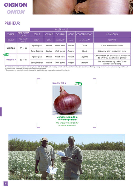 Agrinova - Technisem Seed Catalog - Page 34-35 - Created with Publitas.com