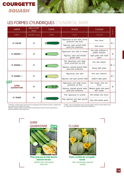 Agrinova - Technisem Seed Catalog - Page 18-19 - Created with Publitas.com