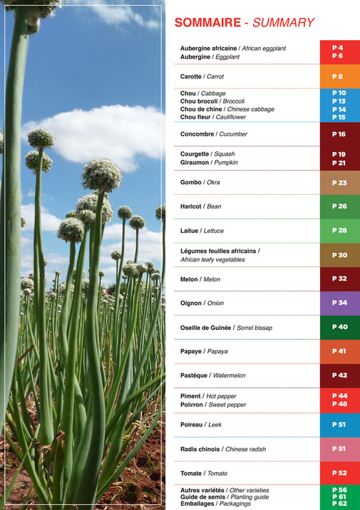 Agrinova - Technisem Seed Catalog - Page 2-3 - Created with Publitas.com