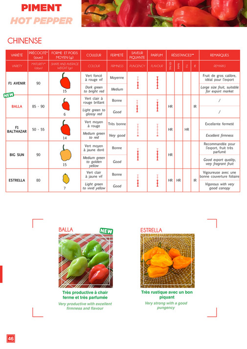 Agrinova - Technisem Seed Catalog - Page 46-47 - Created with Publitas.com