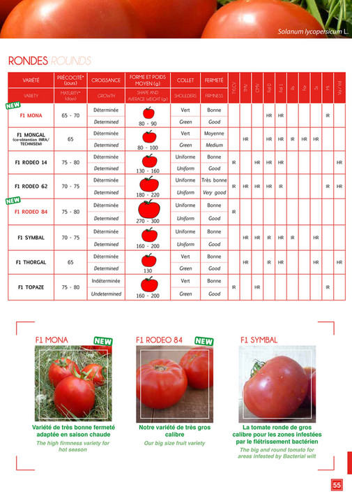 Agrinova - Technisem Seed Catalog - Page 54-55 - Created with Publitas.com