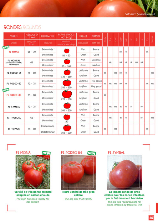 Agrinova - Technisem Seed Catalog - Page 54-55 - Created with Publitas.com