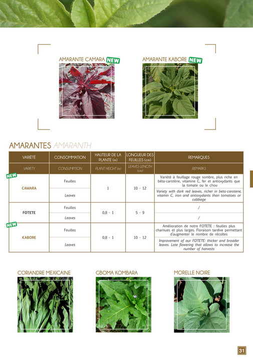 Agrinova - Technisem Seed Catalog - Page 30-31 - Created with Publitas.com