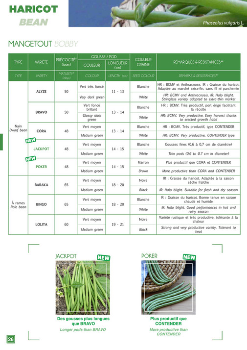 Agrinova - Technisem Seed Catalog - Page 26-27 - Created with Publitas.com