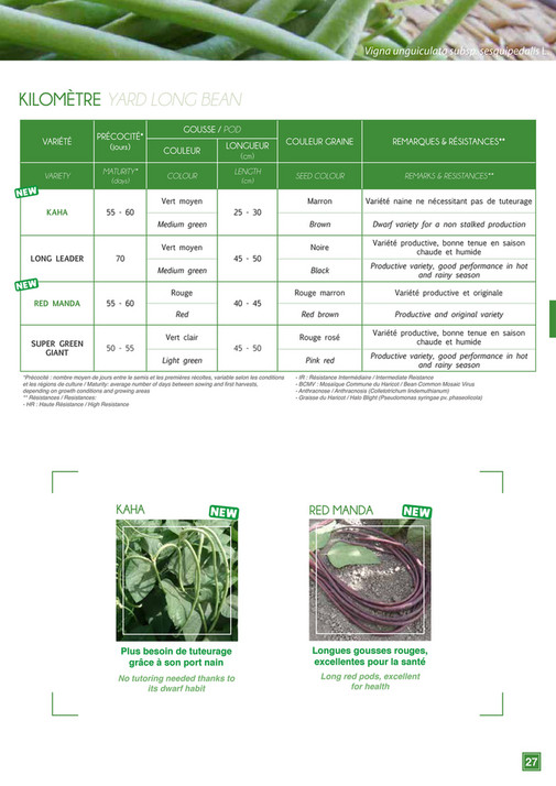 Agrinova - Technisem Seed Catalog - Page 26-27 - Created with Publitas.com