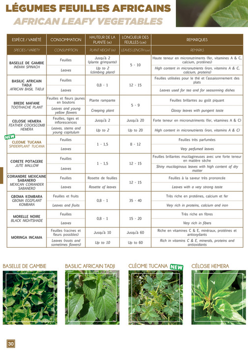 Agrinova - Technisem Seed Catalog - Page 30-31 - Created with Publitas.com