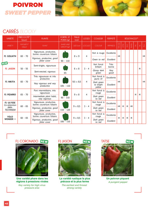 Agrinova - Technisem Seed Catalog - Page 48-49 - Created with Publitas.com
