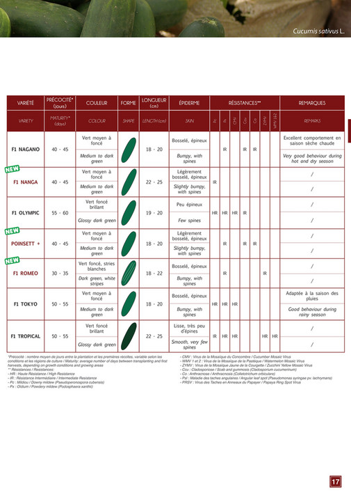 Agrinova - Technisem Seed Catalog - Page 16-17 - Created with Publitas.com
