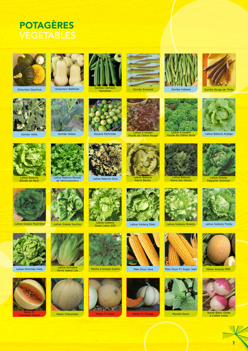 Agrinova Co. - Tropica Catalog - Page 6-7 - Created with Publitas.com