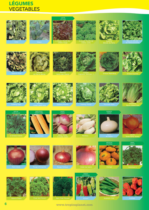 Agrinova Co. - Tropica Catalog - Page 6-7 - Created with Publitas.com