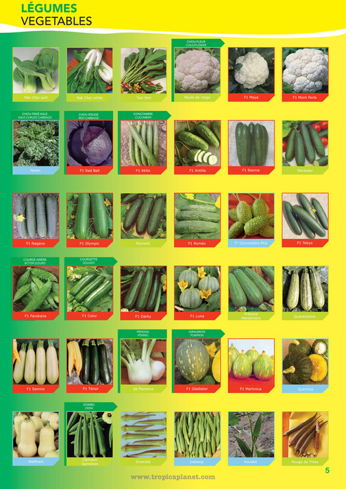 Agrinova Co. - Tropica Catalog - Page 4-5 - Created with Publitas.com